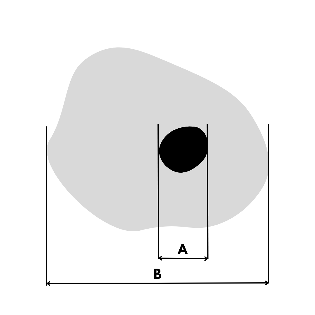 B1.1 Types of Cells Images – Classroom 42