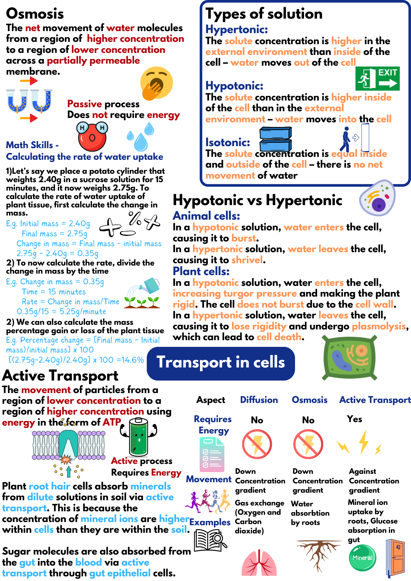 Combined Higher Transport in cells (1) – Classroom 42