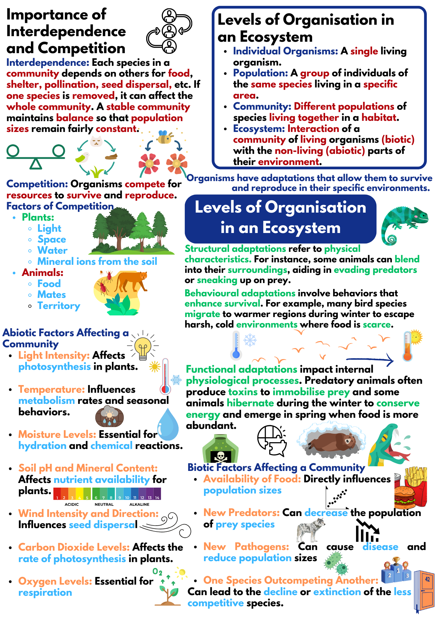 B7.1 Levels of Organisation in an ecosystem – Classroom 42