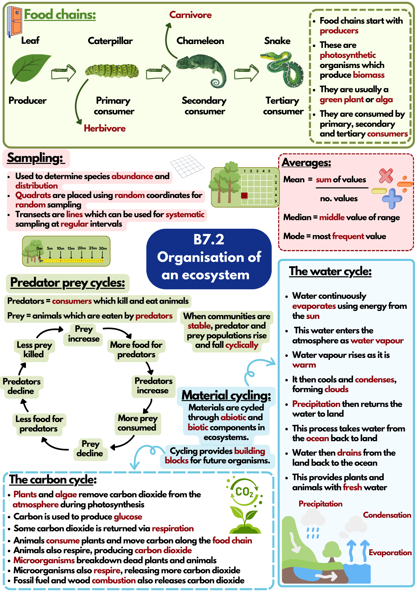 B7.2 Organisation in ecosystems (combined foundation) – Classroom 42