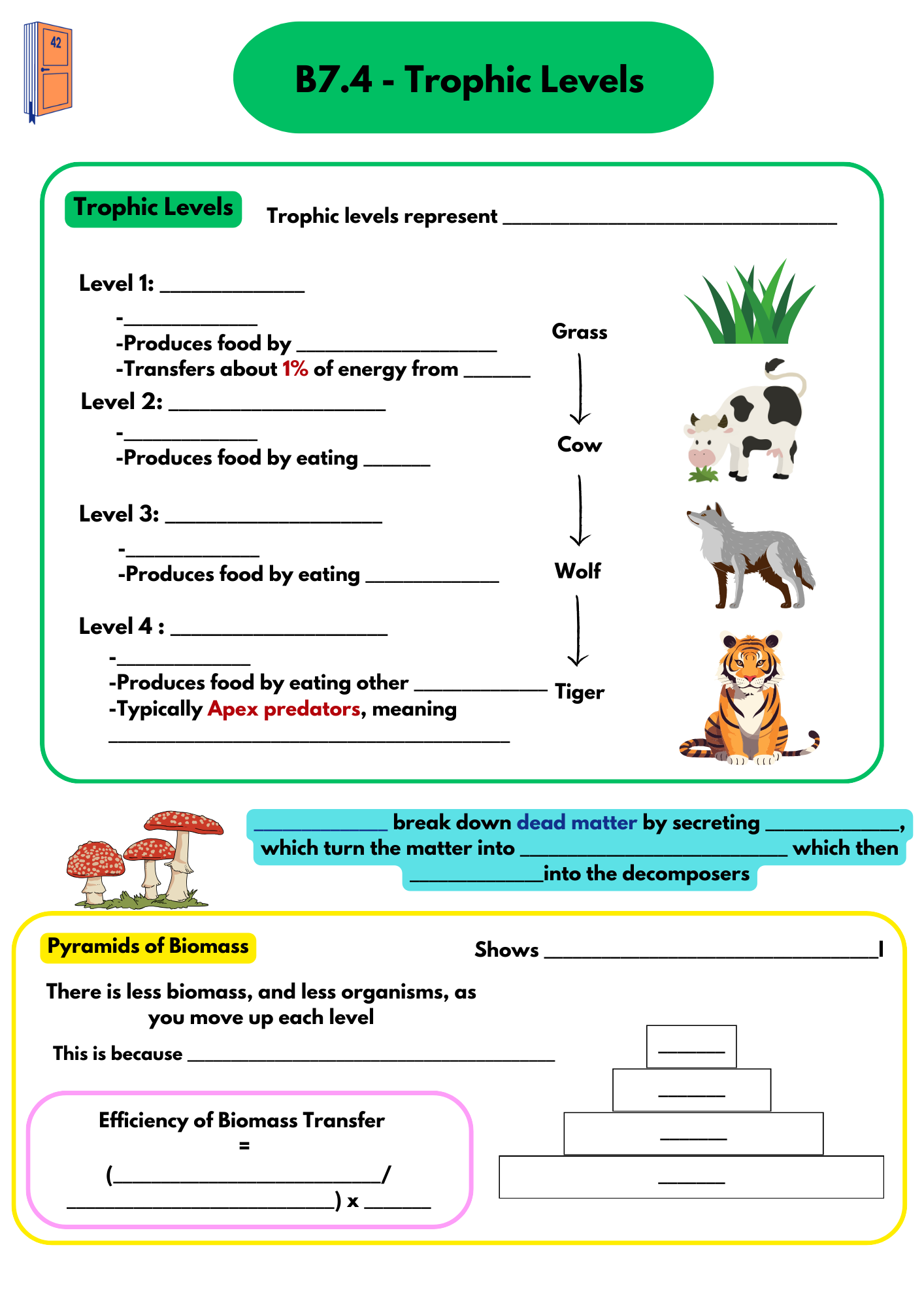 B7.4 – Trophic Levels gap sheet – Classroom 42