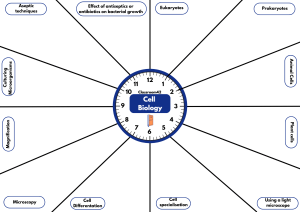 GCSE Science Revision Clocks (No Webinar Banner) – Classroom 42