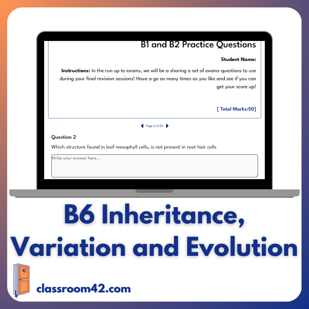 Exam Q pages (4) – Classroom 42