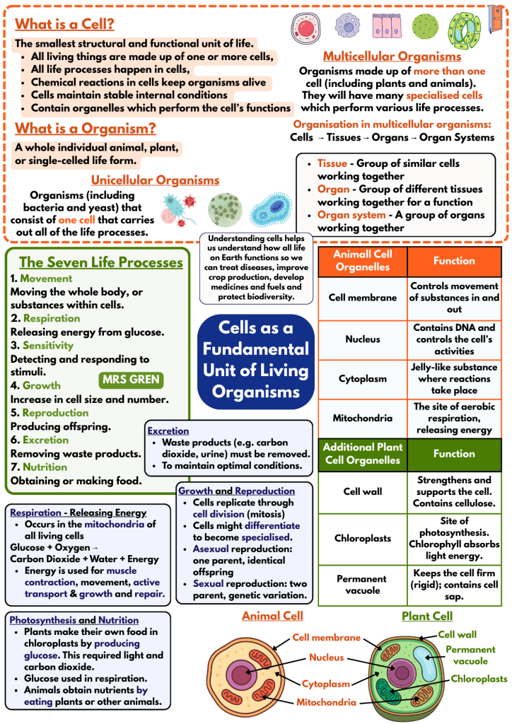 Introducing KS3 Science: Cheat Sheets – Classroom 42