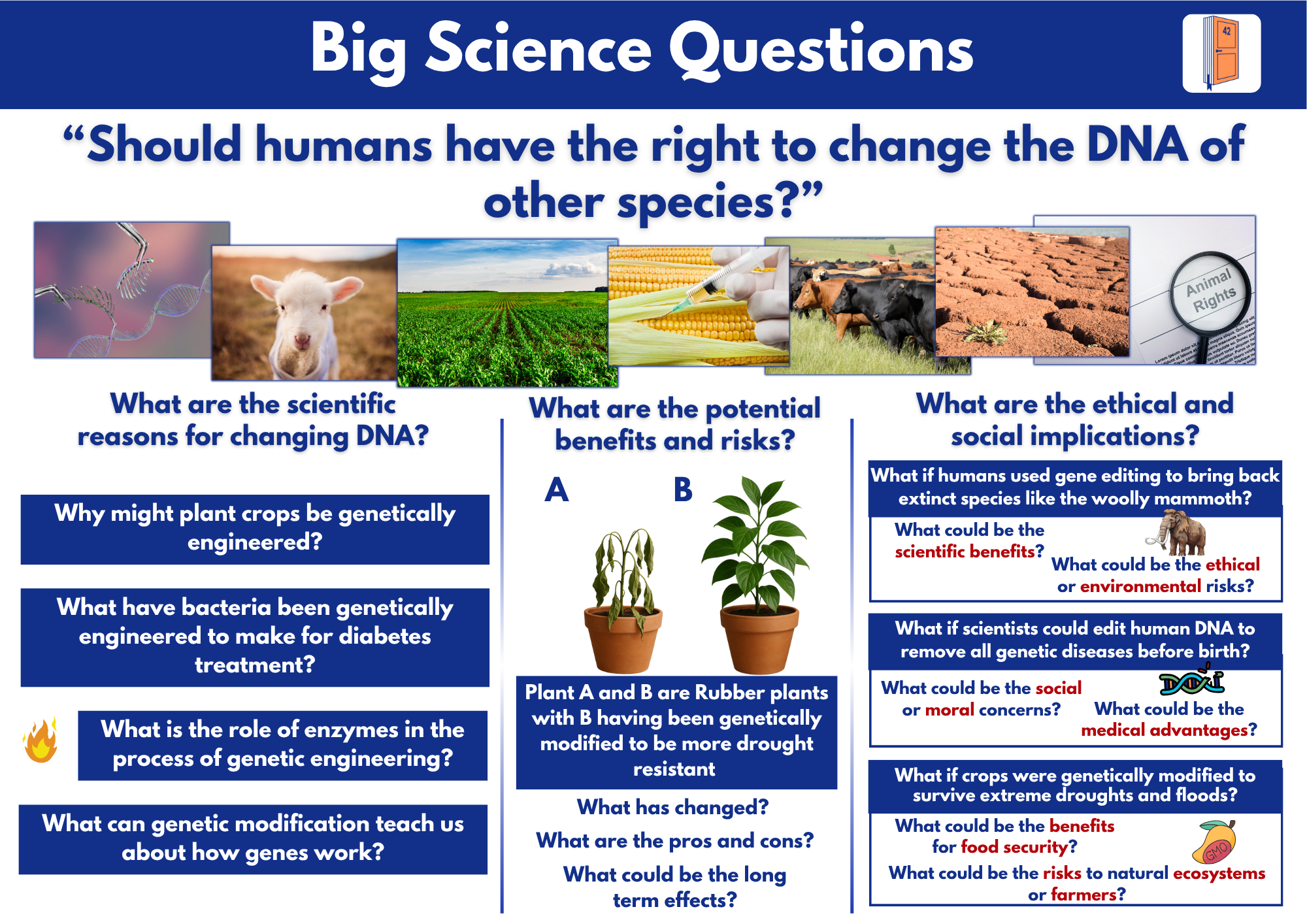 DNA (1) – Classroom 42
